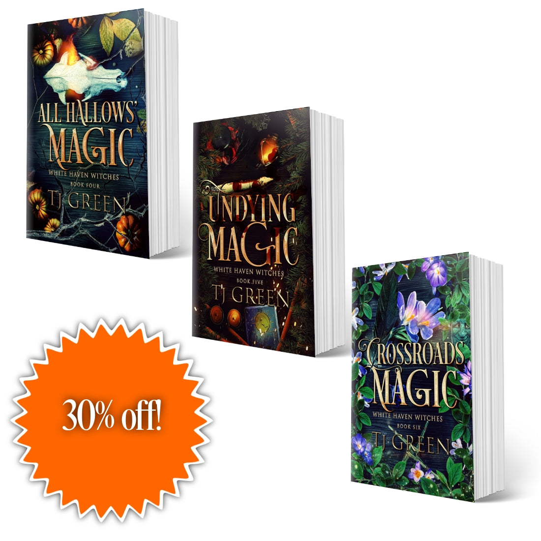PAPERBACK AND HARDBACK BUNDLES – Happenstance Books and Merch